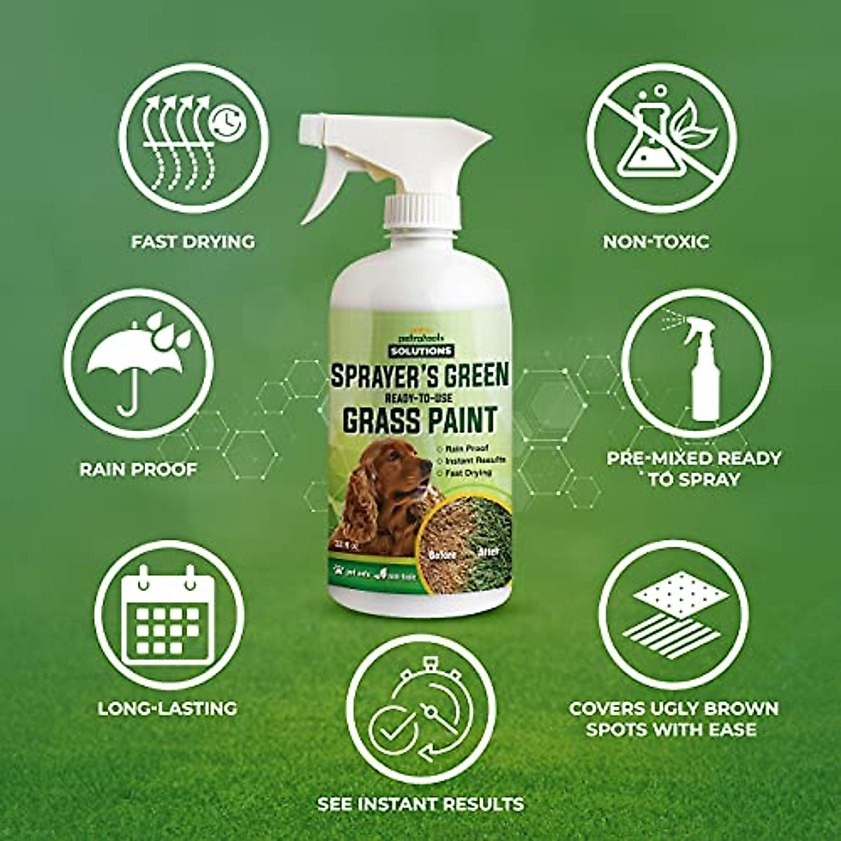 PetraMax Green Grass Paint for Lawn, Ready-To-Use Green Grass Lawn Spray & Dog Spot Repair, Lawn Paint, Spray on Grass, Green Lawn Spray, Green Grass Spray Paint for Lawn Yellow & Urine Spots - 32 oz