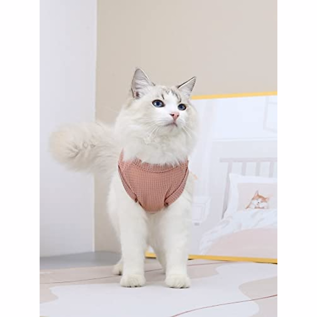 Milumia Pet Cute Outfits for Small Medium Dogs Cats Clothes Bear Patched Dog T Shirts Pink Medium