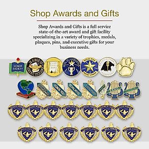 SHOP AWARDS AND GIFTS Star Performer Lapel Pins for Students, Appreciation, Reward, School, Employee Recognition, Bulk Pack of 12, Poly Bagged, 3/4 Inch