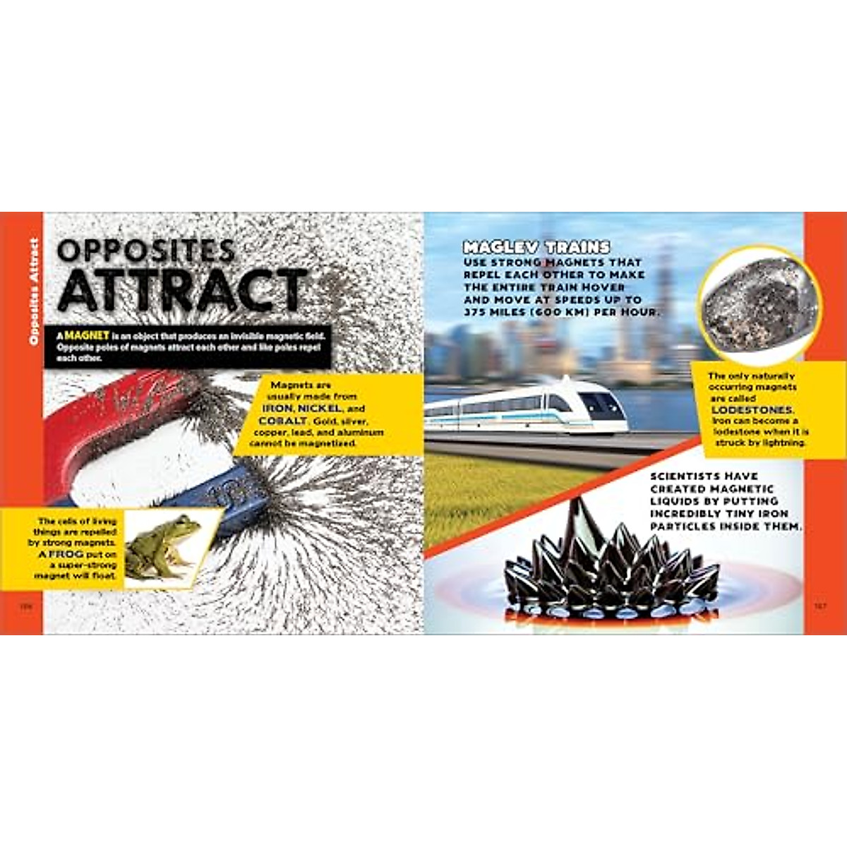 The Fascinating Facts Books for Kids 3 Book Box Set: 1,500 Incredible Facts about Animals, Oceans, and Science for Kids Ages 9-12