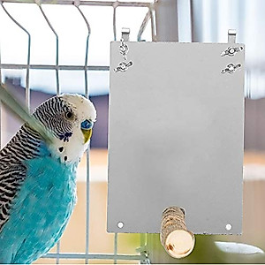 Bird Mirror, Stainless Steel Medium Small Parrots Mirror Bird Mirror Toy with Wooden Standing Rod for Parrot Parakeet Cockatiels