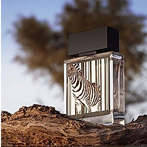 RASASI Rumz Al 9325 Pour Elle For Women Eau De Parfum Spray, 1.7 Ounce