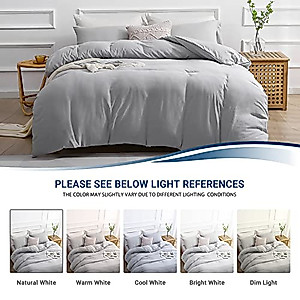 Sasttie Duvet Cover Set Queen Size, Light Grey Ultra Soft Prewashed, 3 Pieces, 1 Duvet Cover with Zipper Closure and Corner Ties (90''x90''), 2 Pillowcases (20''x 30'')