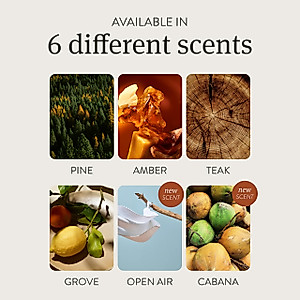 Drift Car Air Freshener - Stone Air Freshener - Car Odor Eliminator - Cabana Scent Starter Kit