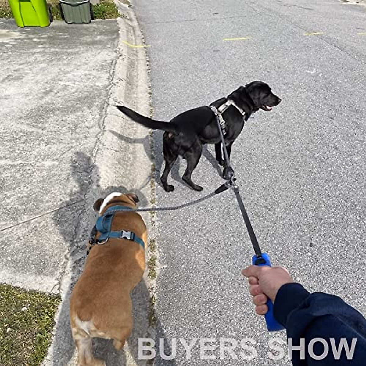 Mycicy Double Dog Leash Coupler, Tandem Leash for Two Dogs, No Tangle 360° Swivel Rotation Dual Strong Dog Leash Splitter, for Large Medium Small Dogs (33inch)