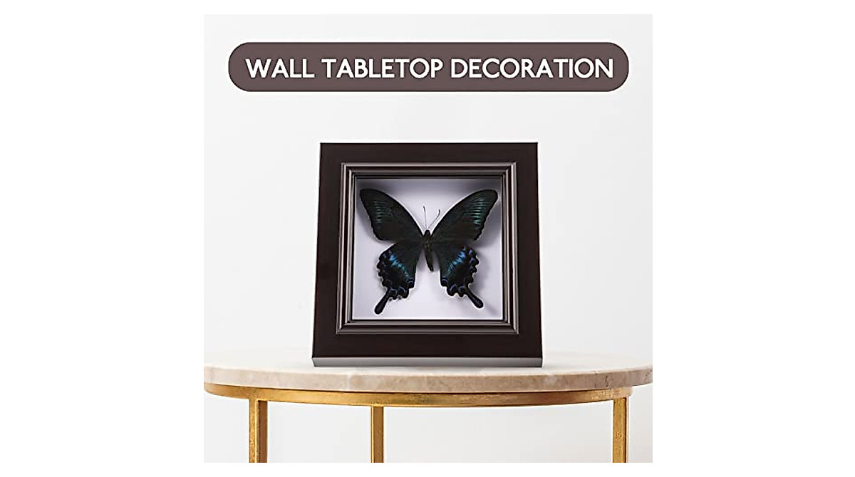 Housoutil Blue Morpho Butterfly Shadow Box - Wall & Table Display