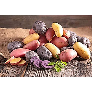 Simply Seed - 10 Piece - Fingerling Potato Seed Mix - Non GMO - Naturally Grown - Order Now for Spring Planting