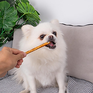 MON2SUN Chicken Collagen Sticks for Dogs, 5 Inch Teeth Cleaning Collagen Dog Chews for Small Dogs (Chicken Flavored) No Hide Skin & Coat Healthy Dog Snacks, 10.58oz (40 Count-Pack of 1)