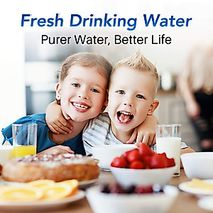 ICEPURE NSF53&42 5-Stage Pitcher Water filter, Replacement For ZR-001, ZR-003, ZR-017,ZP-007RP, ZD-013W, ZS-011RP, ZD-012RP,Pitchers and Dispensers Replacement [3 PACK]