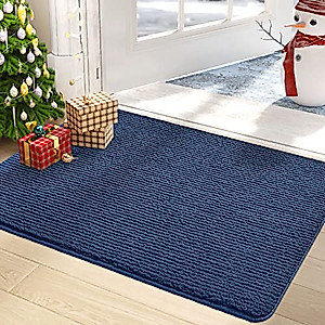 DEXI Front Door Mat Entry Doormat Non Slip Thin Washable Inside Entryway Mats for Home Entrance 19.5"x31.5",Blue