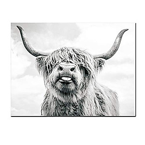 2 Pieces Highland Cow Canvas Wall Art Black and White Poster Art Decor Painting Home Decor for Living Room Office Bedroom(Unframed,16x20 inches)