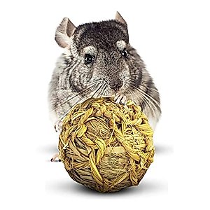 SunGrow Seagrass Balls for Rabbit, for Pet’s Gums & Teeth, Chewable Teething Activity Toy for Gerbils, Guinea Pig, Dwarf Bunny, 1 Pc