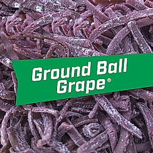 Big League Chew Ground Ball Grape Bubble Gum - Juicy Grape Flavor Explosion | Ideal for Baseball Games, Teams, Concessions, Parties, and Beyond | Pack of 12 Bags (2.12oz Each)
