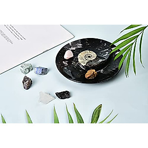 AMOYSTONE Morocco Fossil Bowls Natural Decorative Bowls Orthoceras Fossil Plate Round Stone Tray Unique Quartz Decorative Fossil for Collection, Jewelry Plate, Home Decor 5.5"