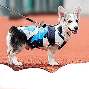 YUCFOREN 7FT Small Dog Leash Lightweight Cat Leash for Little Pets/Puppy/Small Animals/Extra Small Dogs Durable Nylon Walking Training Leash