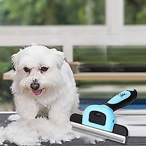 Pet Grooming Brush Effectively Reduces Shedding by Up to 95% Professional Deshedding Tool for Dogs and Cats (Blue)