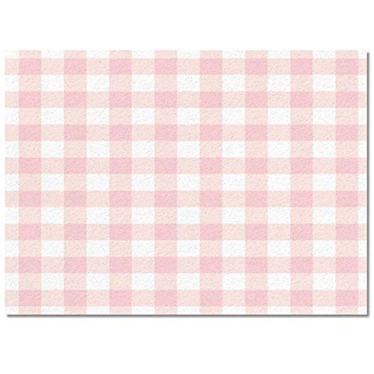 Aomike Indoor Area Rug Doormat- Cute Chic Pink Preppy Buffalo Check Plaid Contemporary Rug for Living Room/Bedroom/Front Porch/Hallway/Farmhouse, 2'x3'
