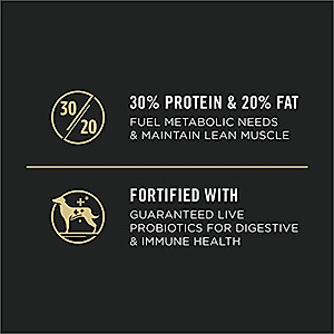 Purina Pro Plan Sport Performance 30/20 Beef & Bison Formula Dry Dog Food - 6 lb. Bag