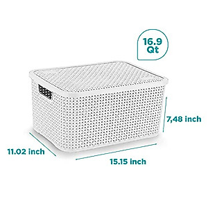 NITRON Plastic Organizer Rattan Box with Lid 16.9Qt-4Pack Large Pantry Organizer Bins Household Organizers for Kitchen, Shelves, Countertops, Desktops, Cabinets, Bedrooms and Bathrooms (Large, White)