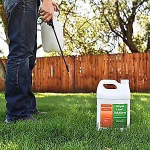 Simple Lawn Solutions - High Potassium Lawn Food Liquid Fertilizer 0-0-25 - Concentrated Spray - Turf Grass Vigor and Plant Hardiness - Summer and Fall - Any Grass Type (1 Gallon)