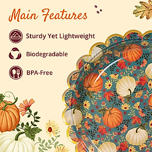 Confettiville Thanksgiving Paper Plates, 50-Count Fall-Themed Decorative Disposable Serving Plates, Teal, Gold Foil Scalloped Edge, 9 Inches