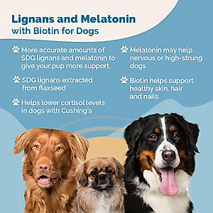 PranaPets Lignans & Melatonin with Biotin Blend Naturally Aids in Relieving Symptoms of Cushing’s in Dogs up to 25 lb | Promote Healthy Balance & Overall Well-Being