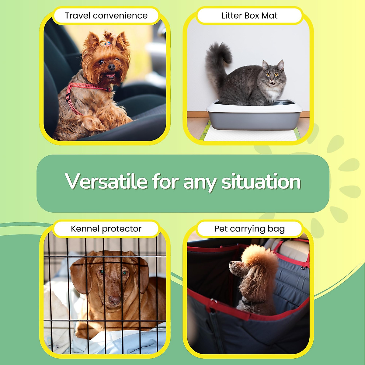 Pet N Pet Pee Pads for Dogs, 50 Counts Puppy Pads, 48% USDA Certified Plant Based Puppy Pee Pads, Unscented Dog Pad, Leak-Proof Training Pads for Dogs, Absorbent Dog Training Pads, Dog Pee Pads