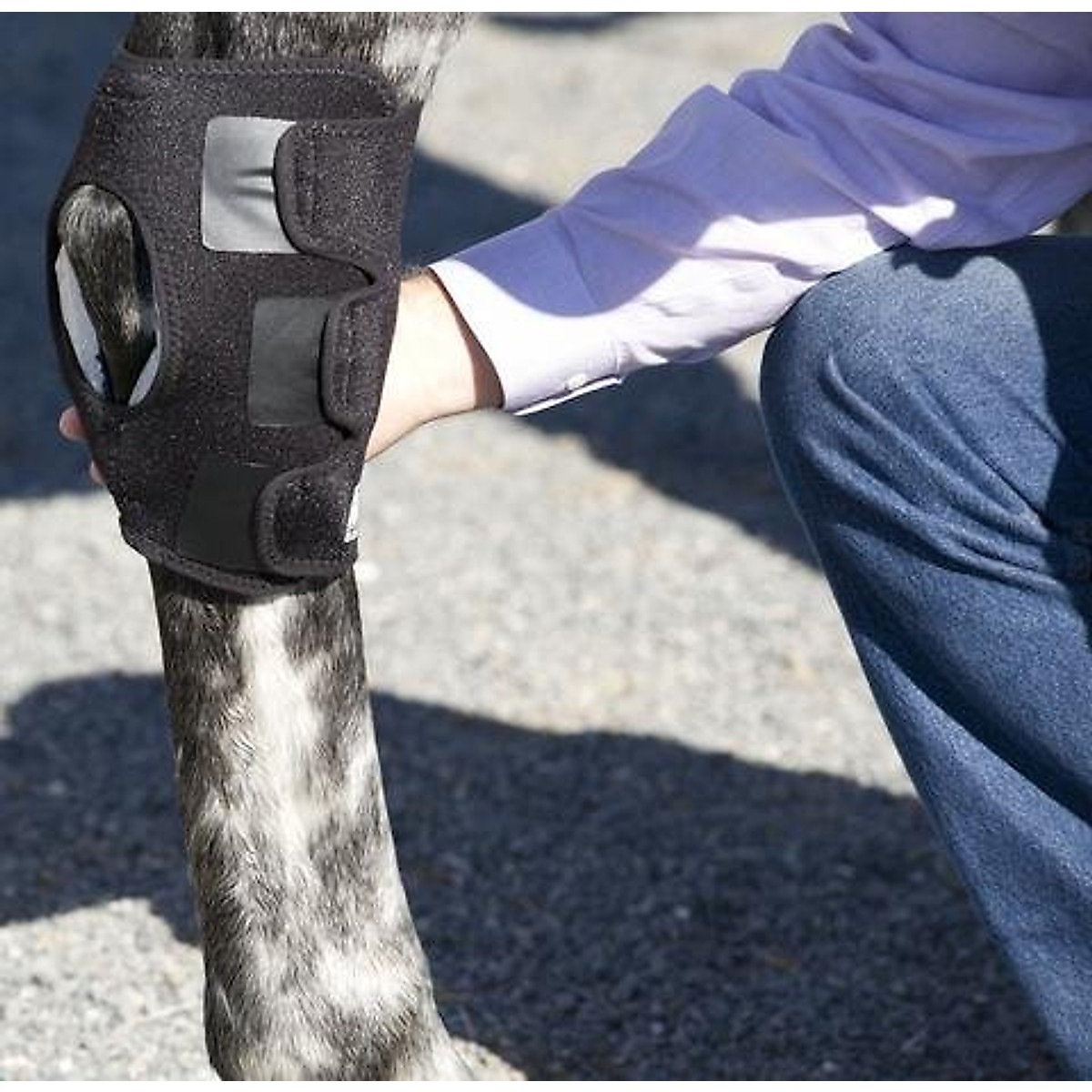 Ice Horse Pair Hock Wraps for Equine Therapy - Comes with 6 Ice Packs