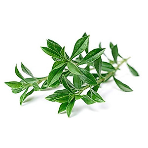 Click and Grow Smart Garden Mountain Savory Plant Pods, 3-Pack