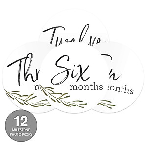 Baby Milestone Signs/Greenery Monthly Milestones/Botanical Infant Photo Prop