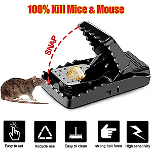 Mouse Trap, Mice Traps That Work Best Snap Traps for Small Mice, Quick Effective Catch Outdoor Indoor Mouse Traps, Reusable Rat Traps - 6 Pack