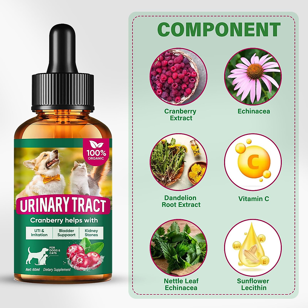 Cat & Dog UTI Treatment - Urinary Tract Support for Pets，Cranberry Kidney and Bladder Supplements, Pet Renal Health Care, Prevention and Treatment