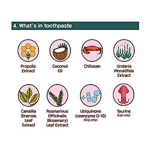 HIBOS Dog Toothbrush Toothpaste Dental Care - All in One Kit, Dog Toothpaste in Toothbrush, Dog Tooth Whitening & Cleaning, Dog Oil for Healthy Gums. (1 Pack)