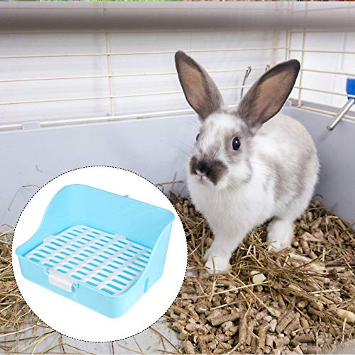 Ipetboom Box Animals Guinea Ferret/Silk Ferret Pig Pigs Corner Poop Pig/Hamster Bunny Tray Litter Cage Rabbit Pad for Animal Training Pet with Toilet Bedding Blue Golden Small Urinal
