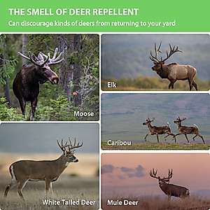 Homsor Deer Repellent 10 Pack Peppermint Oil Deer Scram Deer Stopper Balls Natural Deer Off Deer Deterrent for Outdoor Garden Yard Lawn to Keep Rabbit Deer Away from Plants