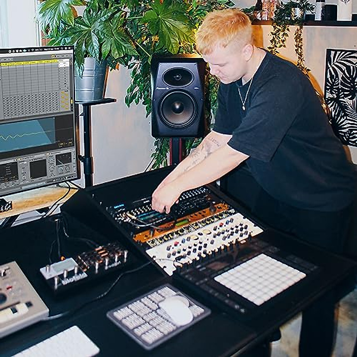 Pioneer DJ VM-50 5.25-inch Active Monitor Speaker - Black