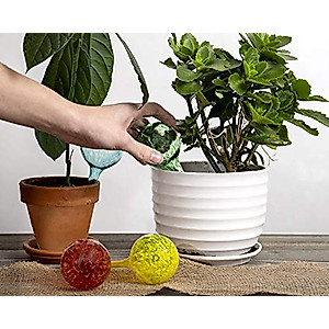 Besti Large Self Watering Globes for Plants (6-Pack) Waters Greenery Up to 2 Weeks Hands Free | Durable, Multicolored Glass Craftsmanship | Indoor and Outdoor Use - Measures 12” x 3.5”