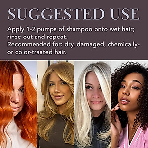 Saphira Mineral Moisturizing Shampoo, Hydration and Shine for Dry, Damaged, Permed or Chemically Treated Hair and Scalp, Sulfate-Free, Paraben-Free, Vegan, Prevents Frizz and Split Ends, 8.5 Ounce