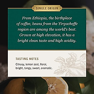 Barrie House Ethiopian Yirgacheffe Single Origin Whole Bean Coffee, 2 lb Bag | Fair Trade Organic Certified |Medium Roast | High Acidity and Clean Finish | 100% Arabica Coffee Beans