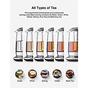 Electric Tea Kettle, 6 Variable Presets Temperature Smart Tea Maker, Fast Boil Electric Glass Kettle with 2Hr Keep Warm Function, Premium Stainless Steel, 1200 Watt Quick Heating, 1.7L