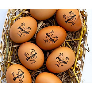 STAMTECH Egg Stamps for Fresh Eggs - Make Your Mark on Farm Fresh Eggs with Custom Egg Stamp Customizable and Easy to Use for Homegrown Eggs and Kitchen Creations