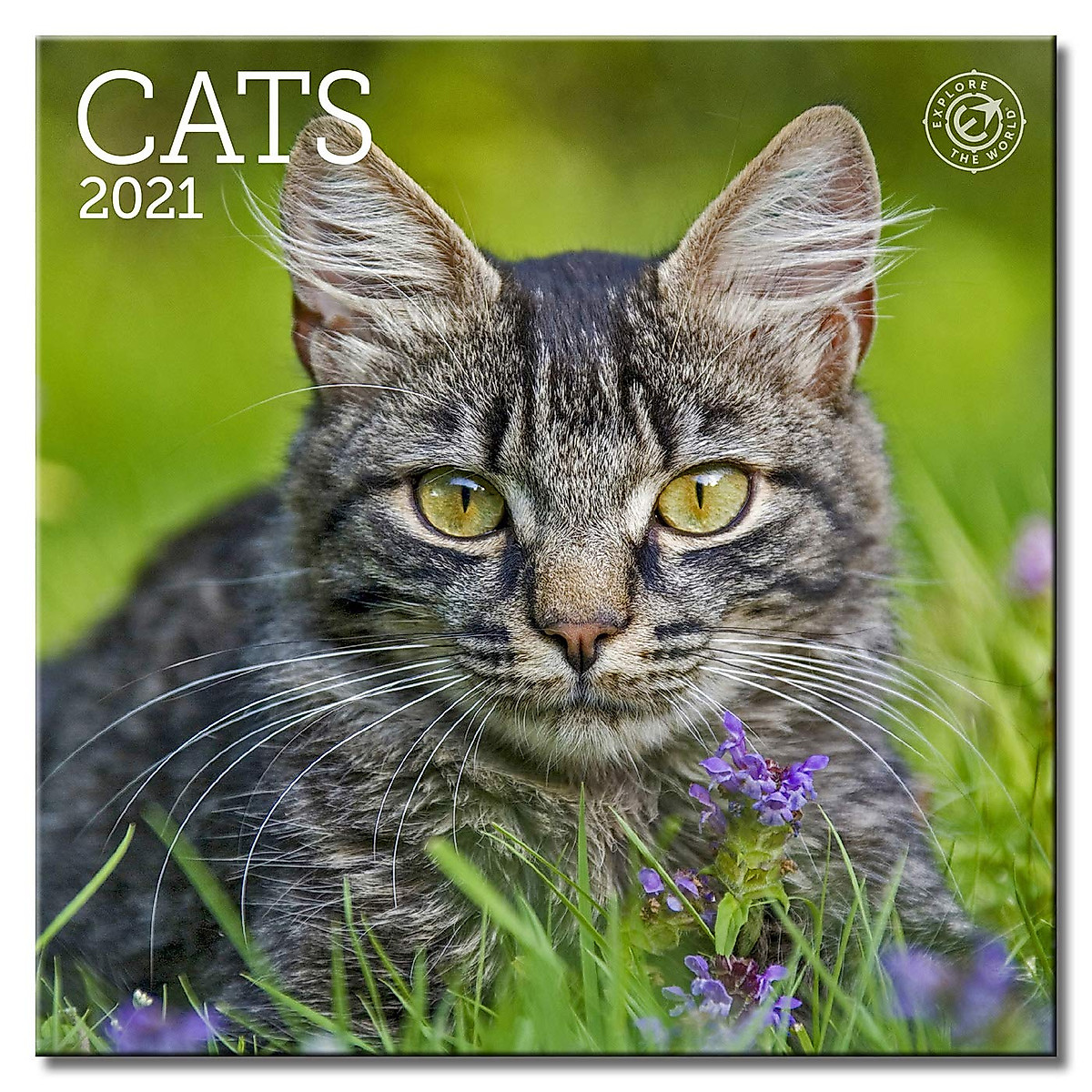 Cats Mini Wall Calendar 2021, 7" x 7"