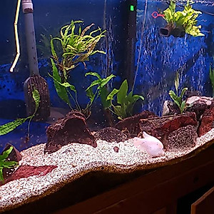 Jegtew 8 Pack Suction Cups with 8 Pieces Adjustable Zip Ties， Aquarium Suction Cup for Aquarium Fish Tank Binding Moss Shrimp Dodging Nest