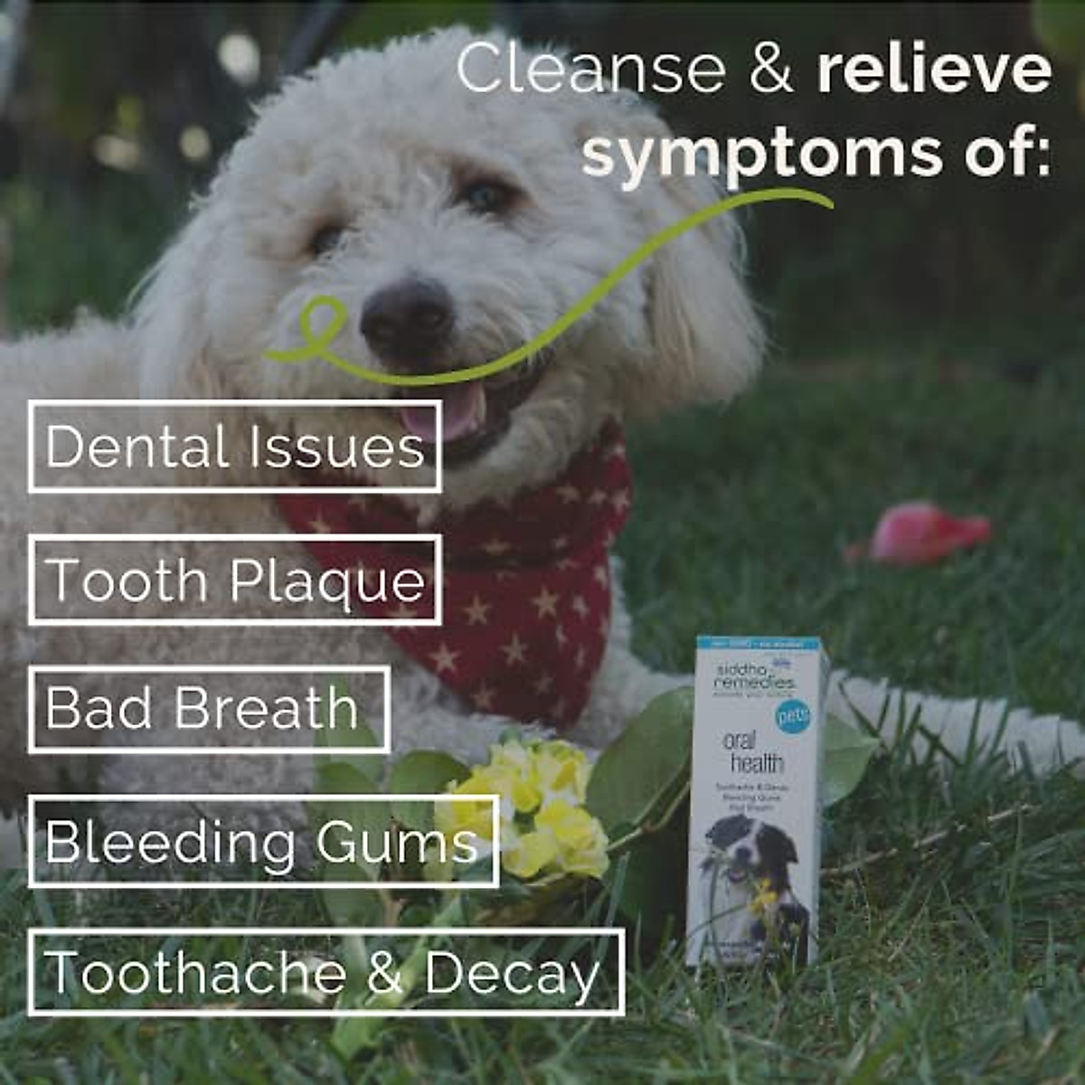 Siddha Remedies Oral Health for Pets | Cat Dog Oral Care for Toothache Decay | Breath Spray for Bad Breath, Healthy Gums Dogs Tooth Care | 100% Natural Homeopathic Remedy Cell Salts Flower Essences