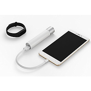 ZMI LPB01ZM Flashlight Portable Charger, Lipstick Charger, 3350 mAh Battery Pack Ultralight Pocketable Power Bank (Phone Cord/Wall Plug NOT Included)