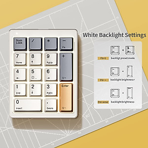 Kisnt Number Pad, Mechanical Numpad Wired USB Standard 17 Keys Numeric Keypad with PBT Keycaps White Backlit Keypad for Laptop PC TKL Keyboards (Red Switch)