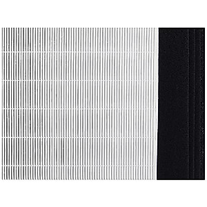 Genuine Winix 115115 Replacement Filter A for C535, 5300-2, P300, 5300, White/Black