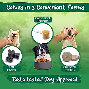 Vital Planet - Natural Hip and Joint Supplement for Dogs - Potent Herbal Blend with Green Lipped Mussel, MSM and Glucosamine (120 Chewable Tabs)