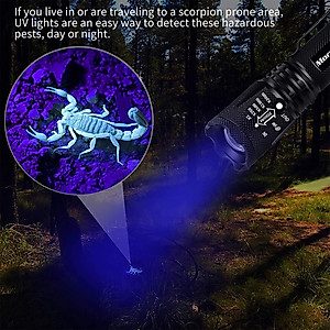 Morpilot Blacklight Flashlights, 2 in 1 LED UV Blacklight with 500LM Highlight, 4 Modes, 395nm Black Light Flashlight for Pet Urine/Scorpion Detection/Night Fishing/Travel/Camping, 2pcs