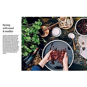 The Wild Dyer: A Maker's Guide to Natural Dyes with Projects to Create and Stitch